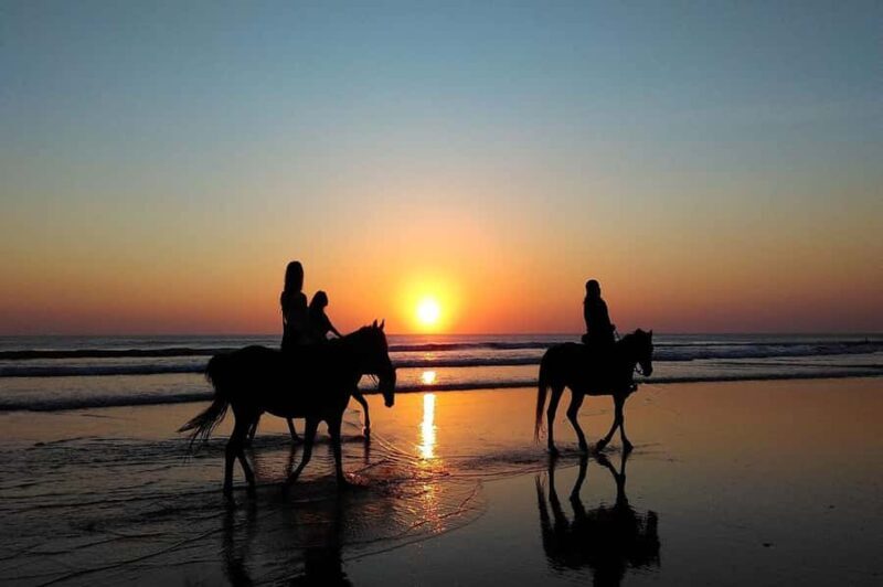 Bali Sunset Horse Ride by the Kedungu Beach - The Sum Up