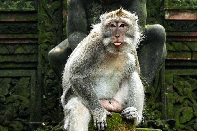 Bali Sunset: Uluwatu Temple - Kecak Dance- Jimbaran Bay - Authentic Experiences and What You’ll Take Home