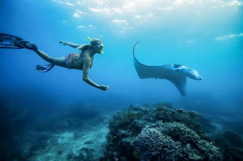 Bali: Swim with Manta Rays in Penida, Optional Lunch & Kayak - A Balanced Look at the Tour