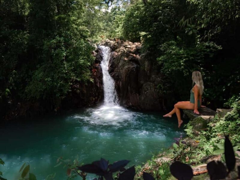 Bali: Swimming with dolphin & waterfal tour, all inclusive. - Key Points