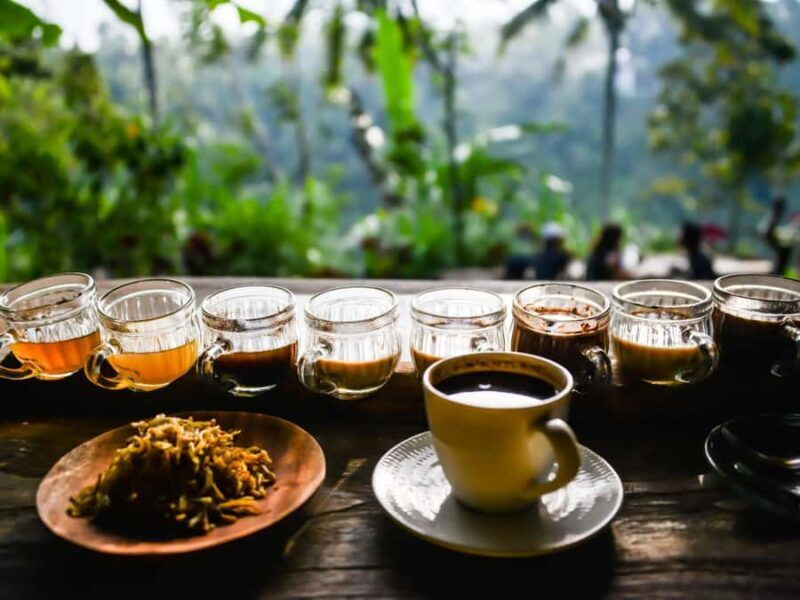 Bali: Swimming with dolphin & waterfal tour, all inclusive. - FAQ