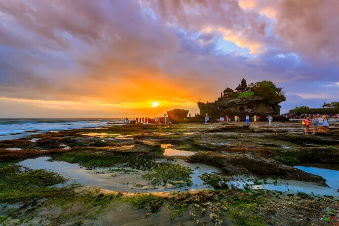 Bali Swing Activities and Tanah Lot Sunset Tour - An Overview of the Tour Experience