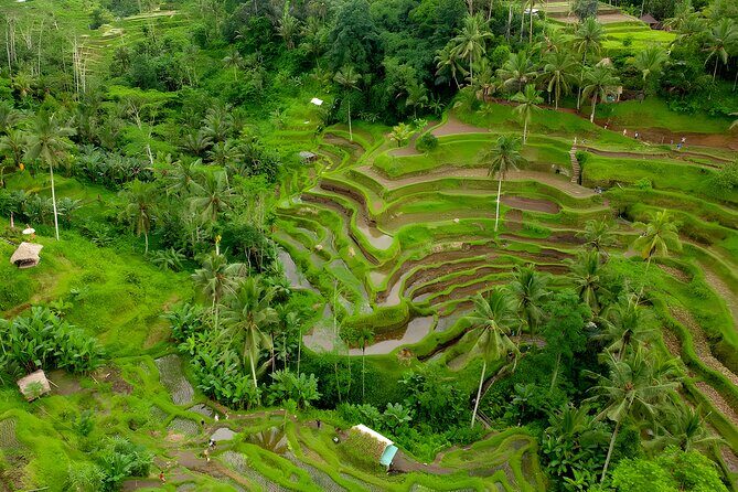 Bali Swing Activity and Ubud Watefall Trip Packages - The Bali Swing: A Thrilling Photo-Opportunity
