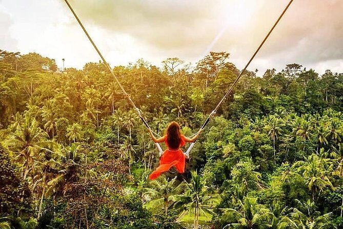 Bali Swing Experience and Ubud Tour - Key Points