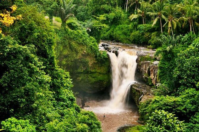 Bali Swing Experience and Ubud Tour - Scenic Photo Stops at Tegalalang Rice Terraces
