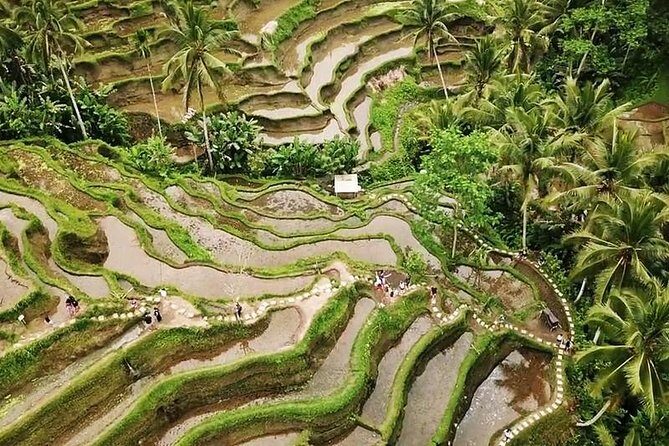 Bali Swing Experience and Ubud Tour - Relaxing at Tegenungan Waterfall