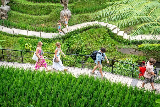 Bali: Swing Heaven, Monkey Forest and Waterfall Guided Tour - The Reviews Speak