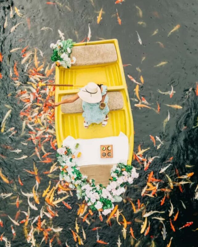 Bali: Swing, Koi Photo Boat, Monkey Forest, & Waterfall - The Sum Up