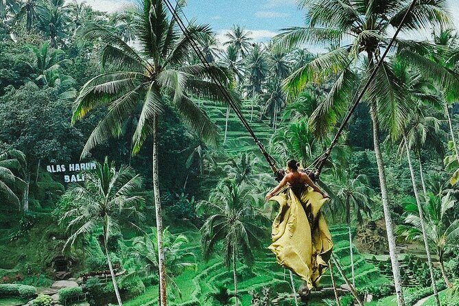 Bali Swing, Monkey Forest and Waterfall - Private Tour - Key Points
