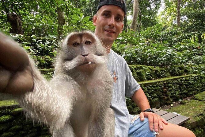 Bali Swing, Monkey Forest and Waterfall Tour - The Serenity of Tibumana Waterfall