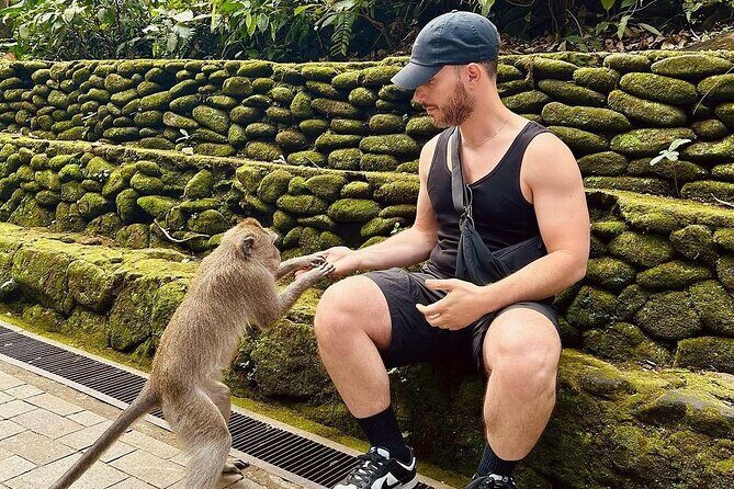 Bali Swing, Monkey Forest and Waterfalls Tour - How the Day Unfolds: Timing and Group Size