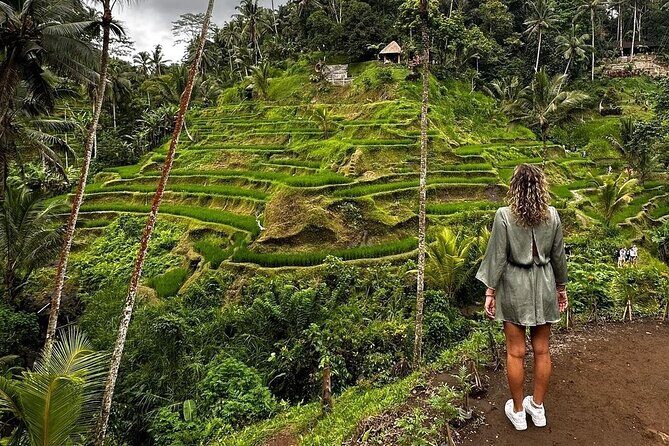 Bali Swing, Monkey Forest and Waterfalls Tour - Is it Worth the Price?