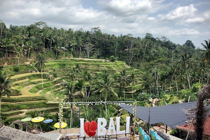 Bali Swing Packages and Kintamani Volcano View - Key Points