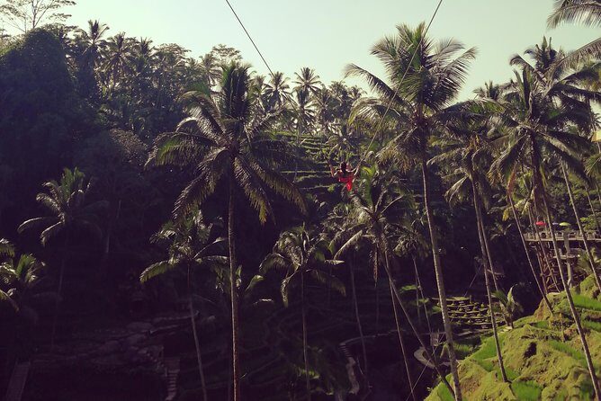 Bali swing, Waterfall, Tanah lot Tour - Exploring the Highlights of the Bali Swing, Waterfall, and Tanah Lot Tour