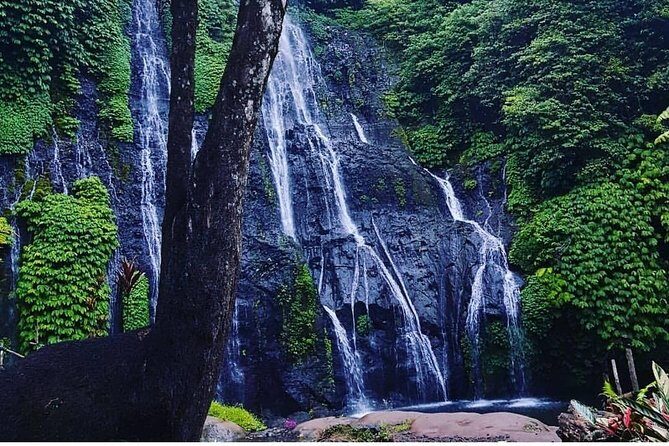 Bali swing, Waterfall, Tanah lot Tour - FAQs