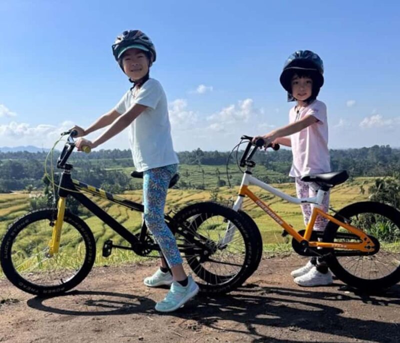 Bali: Tabanan Rice Terraces E-Bike Tour with Breakfast - Who Will Love This Tour?