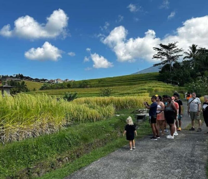 Bali: Tabanan Rice Terraces E-Bike Tour with Breakfast - Final Thoughts