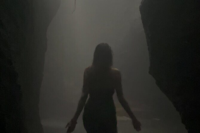 Bali Taman Grya Beji Waterfall and Jungle Swing Private Tour - The Sum Up