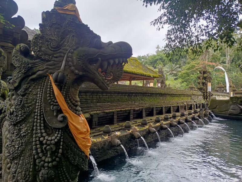 Bali: Tampaksiring Temples and Coffee Plantation Tour - Who Should Consider This Tour?