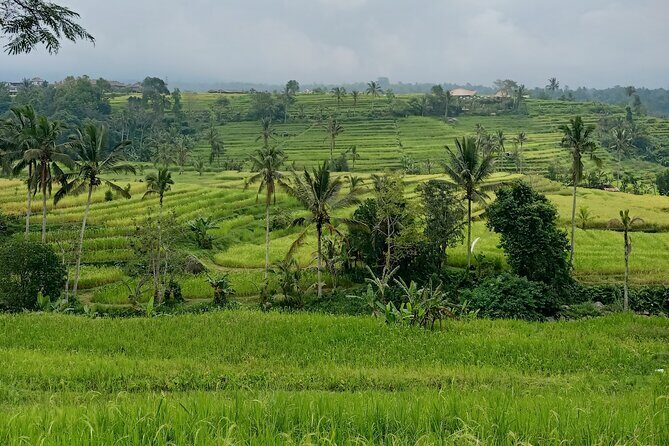 Bali Tanah Lot, Ulun Danu Beratan & Jatiluwih Rice Terrace - An In-Depth Look at the Tour