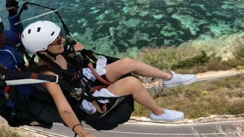 Bali: Tandem Paragliding with Professional Instructor - The Experience Provider: Widi Bali Travel Fun