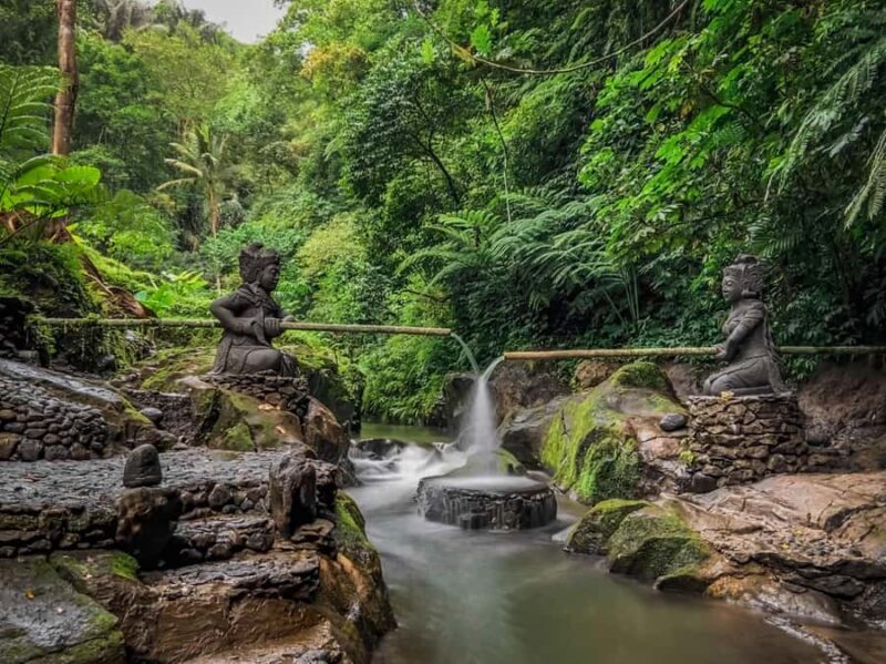 Bali: Taro Village and Holy Spring Water Temple Tour - FAQ