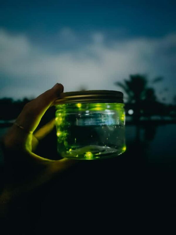 Bali: Taro Village Cycling Tour with Magical Night Fireflies - Final Thoughts: Is This Tour Right for You?