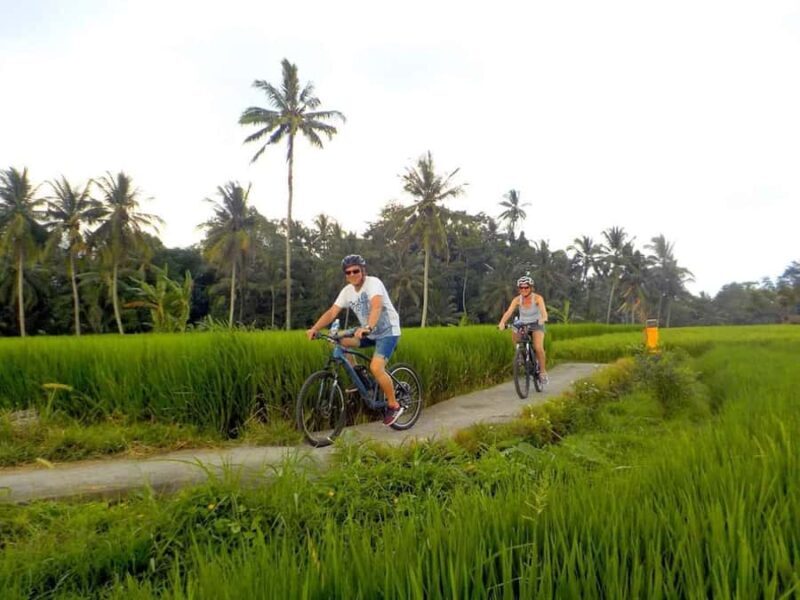 Bali: Taro Village Cycling Tour with Magical Night Fireflies - FAQ