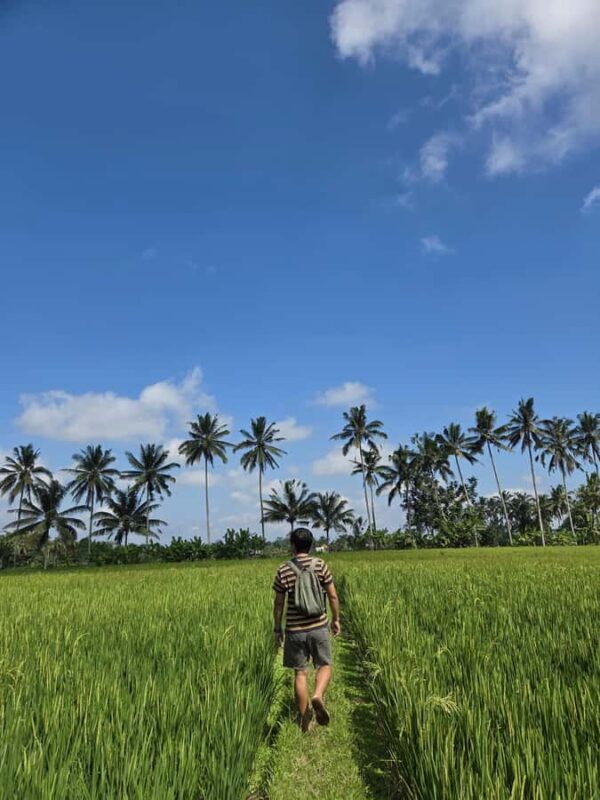 Bali: Taro Village Trek with Rice Terraces and Vegan Feast - A Deep Dive into Bali’s Taro Village Trek
