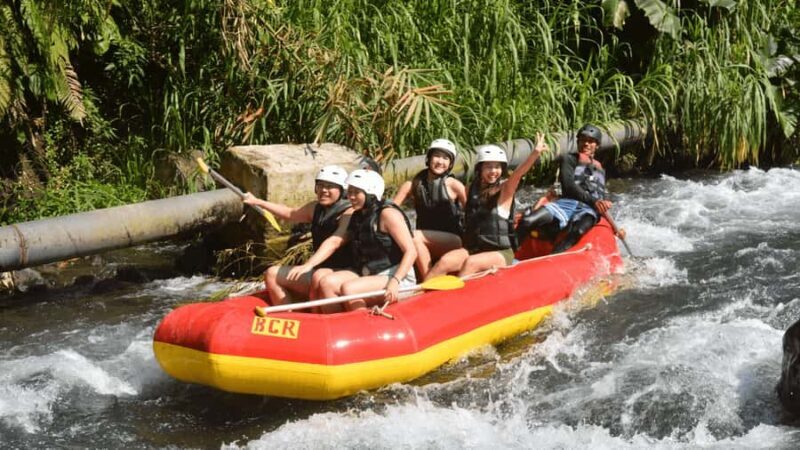 Bali: Telaga Waja Rafting, Sidemen Trek & Coffee Tour - Considerations Before Booking