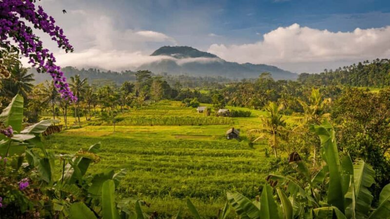 Bali: Telaga Waja Rafting, Sidemen Trek & Coffee Tour - Final Thoughts: Is It Worth It?