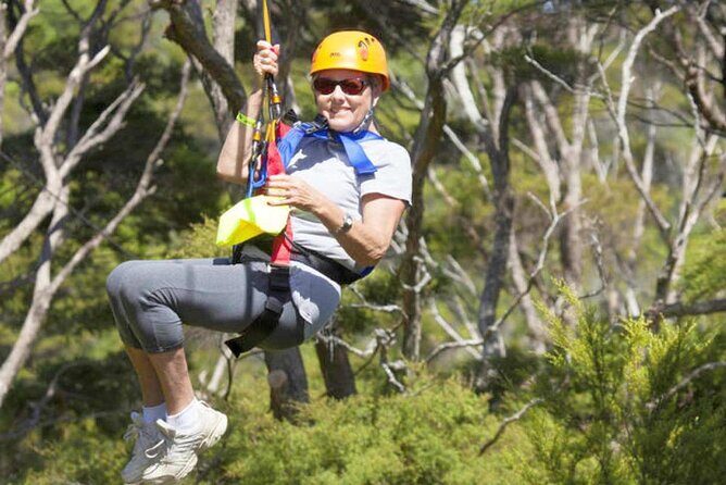 Bali Telaga Waja Rafting - Zipline + Besakih Mother Temple - The Sum Up