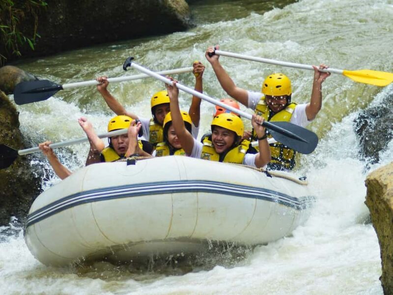 Bali: Telaga Waja River Rafting Small-Group Tour with Lunch - What the Tour Offers