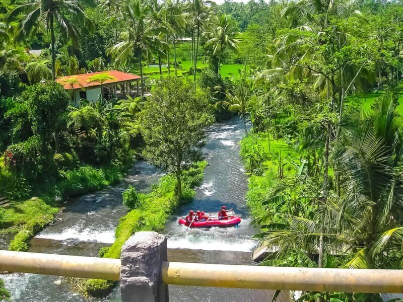 Bali: Telaga Waja White Water River Guided Rafting & Lunch - Final Thoughts