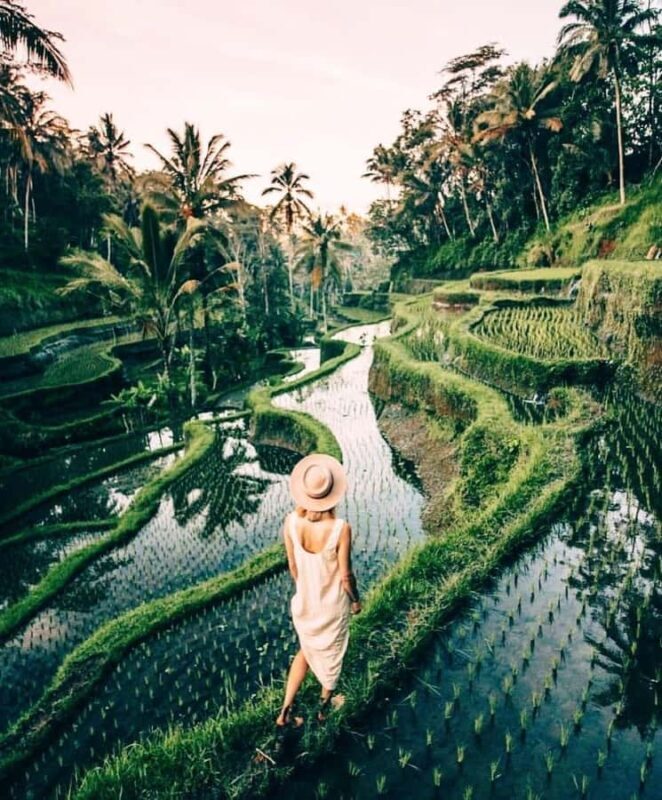 Bali: Temple, Waterfall, and Rice Terrace Private Tour - Key Points