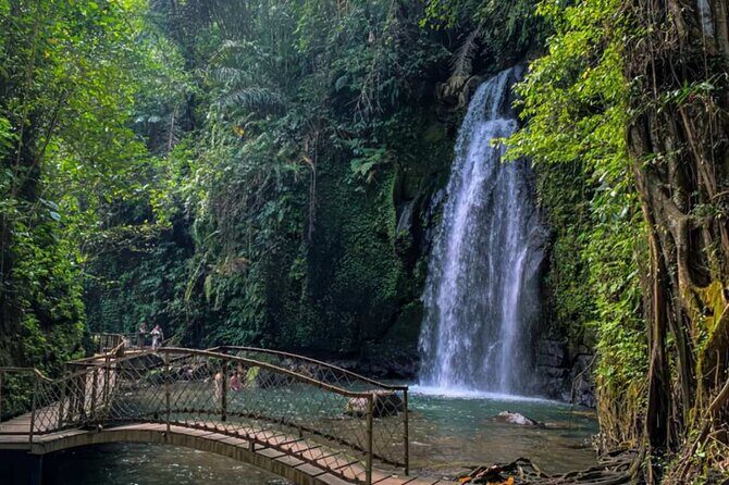 Bali Tirta Empul Tours Experience with Spiritual Cleansing - Who Would Love This Tour?