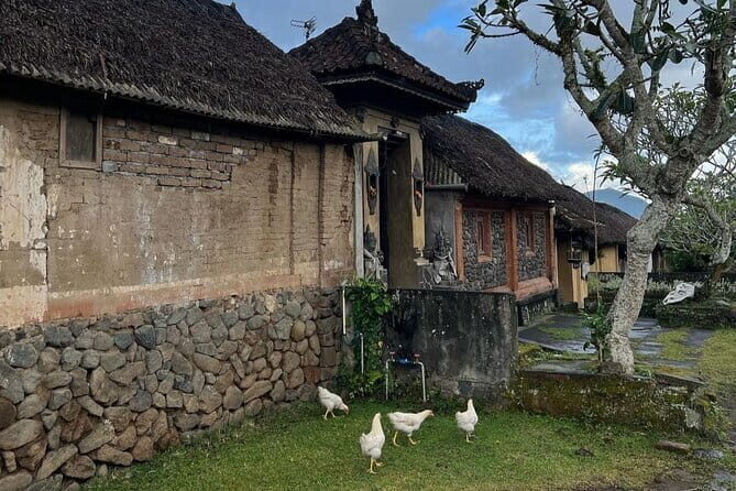 Bali Tirta Gangga, Taman Ujung, Tenganan Village and Beach - An In-Depth Look at the Tour