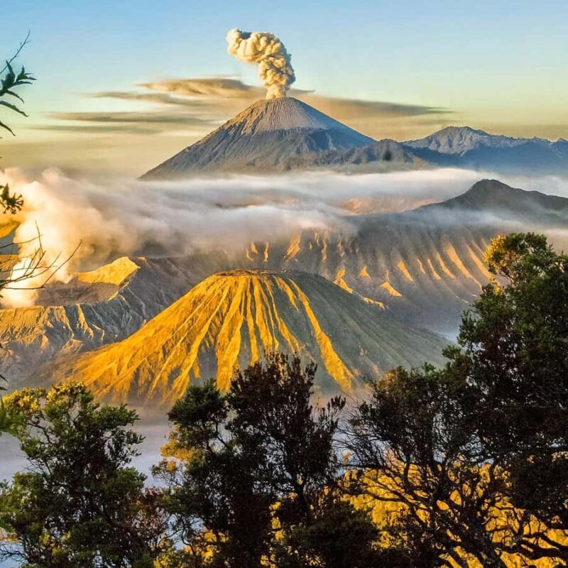 bali to java: bromo, ijen, tumpak sewu, borobudur, Prambanan - Key Points