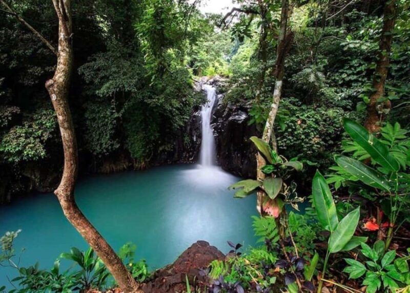 Bali: Top Highlights Private Full-Day Tour from Hotel - Key Points