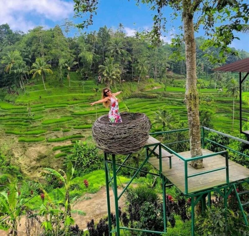 Bali: Top Highlights Private Full-Day Tour from Hotel - Discover the Charm of Bali in One Day