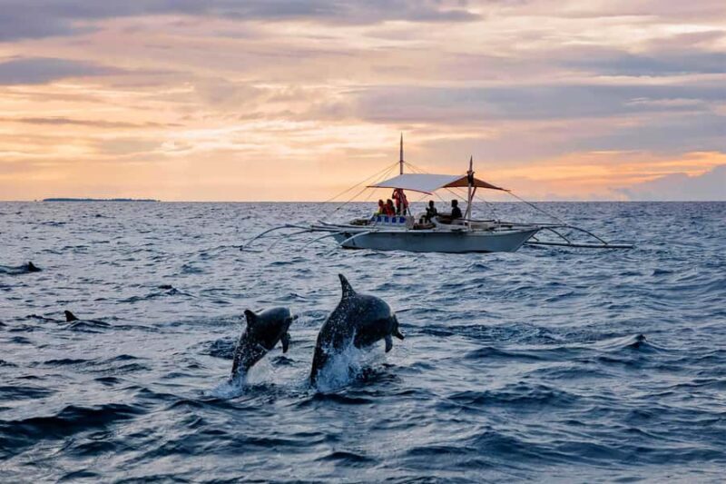 Bali Tour: Ethical Dolphin Swim Experience in Lovina - Analyzing the Cost and Value