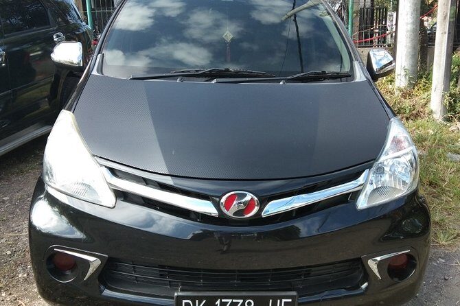 Bali Tour Guide And Driver - What Travelers Say