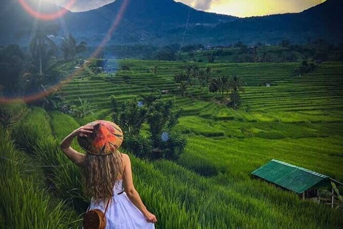 Bali Tour: Tanah Lot, UNESCO Rice Terrace and Water Temple - Who Will Love This Tour?