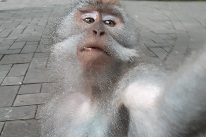 Bali Tour: Ubud Most Popular Place - Practical Considerations