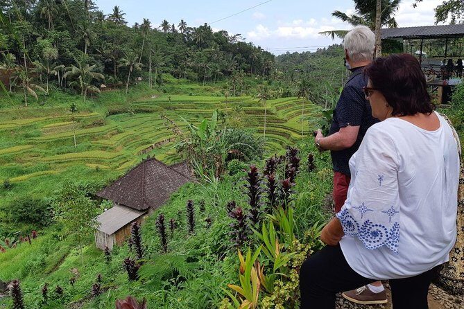 Bali Tour: Ubud Most Popular Place - Final Thoughts: Who Is This Tour Best For?