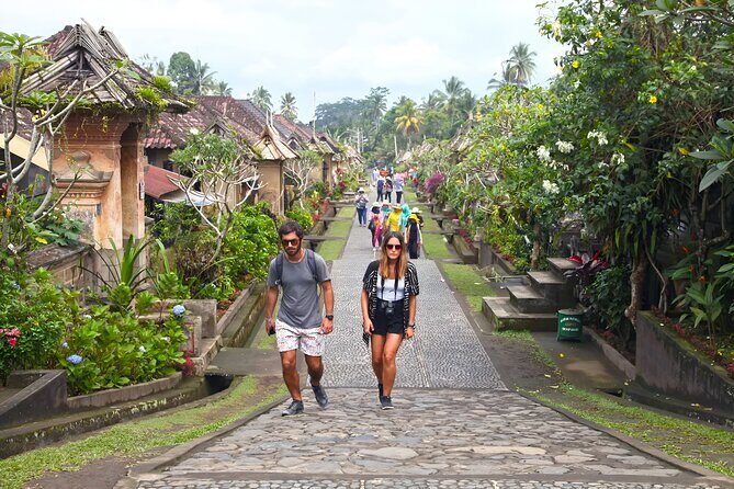 Bali Tour: Village, Volcano, Holy Spring Temple, Waterfall Tour - Transportation, Timing, and Practicalities