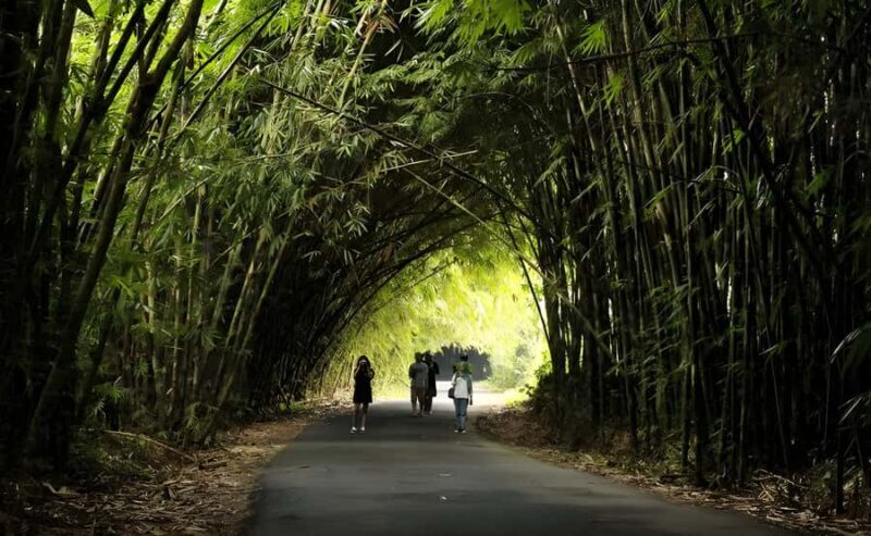 Bali: Tradisional Village, Bamboo Forest & Temple Tour - The Sum Up: Who Is This Tour Best For?
