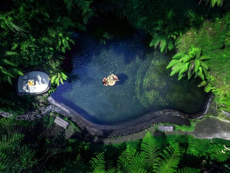 Bali: Tradisional Village, Bamboo Forest & Temple Tour - FAQ