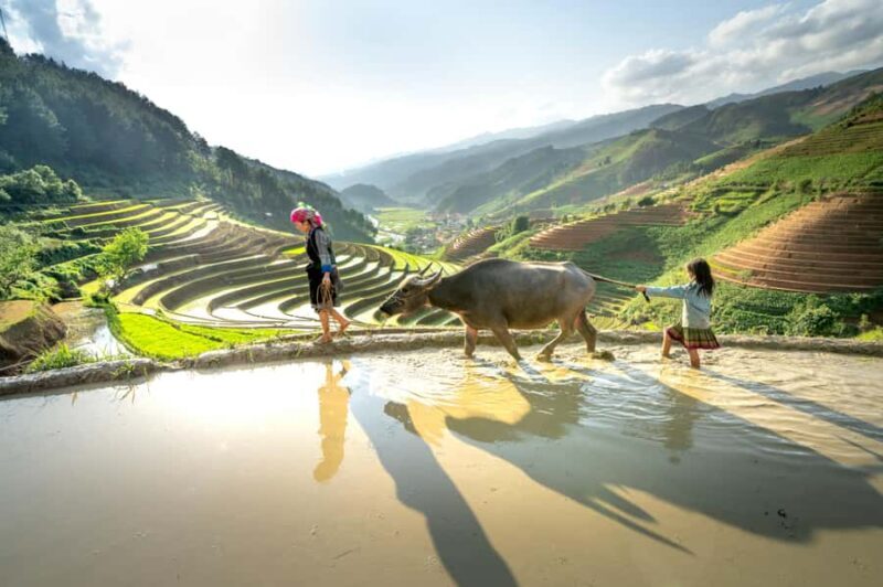 Bali: Traditional Farming Village Tour with Lunch - Practical Details and What It Means for You