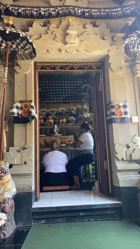 Bali Traditional Shamanic Healing and Water Purification - Who Should Consider This Tour?